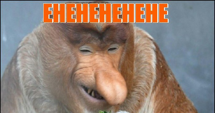 Ehehehehehe memy, gify i śmieszne obrazki facebook, tapety ...