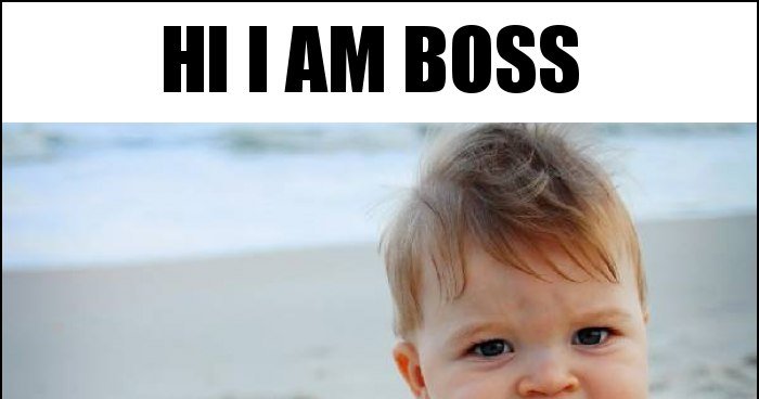HI i am boss memy, gify i śmieszne obrazki facebook, tapety ...