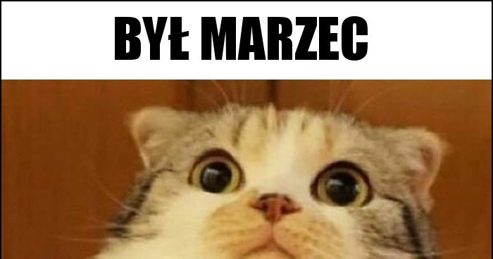 Był marzec memy, gify i śmieszne obrazki facebook, tapety, demotywatory ...