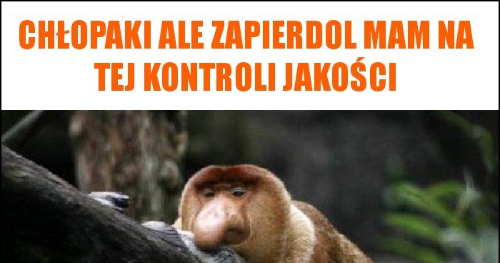 chłopaki Ale zapierdol mam na tej kontroli jakości memy, gify i ...