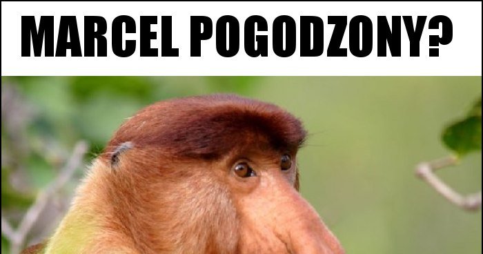 Marcel pogodzony? memy, gify i śmieszne obrazki facebook, tapety ...