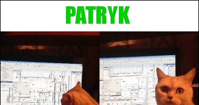 Patryk memy, gify i śmieszne obrazki facebook, tapety, demotywatory zdjęcia