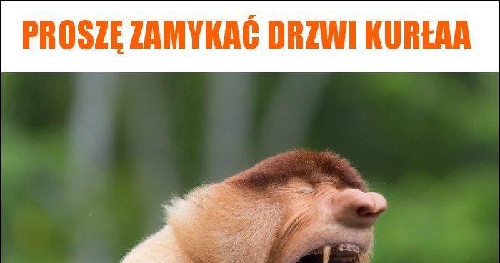 PROSZĘ ZAMYKAĆ DRZWI KURŁAA memy, gify i śmieszne obrazki facebook ...