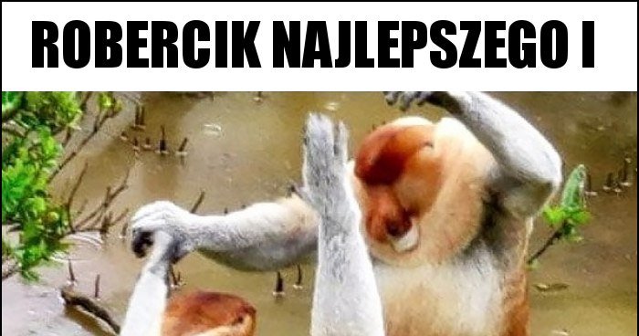 Robercik najlepszego i memy, gify i śmieszne obrazki facebook, tapety ...