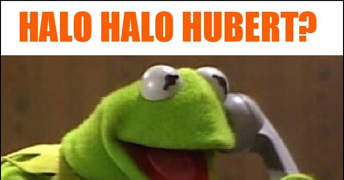 Halo halo Hubert? memy, gify i śmieszne obrazki facebook, tapety ...