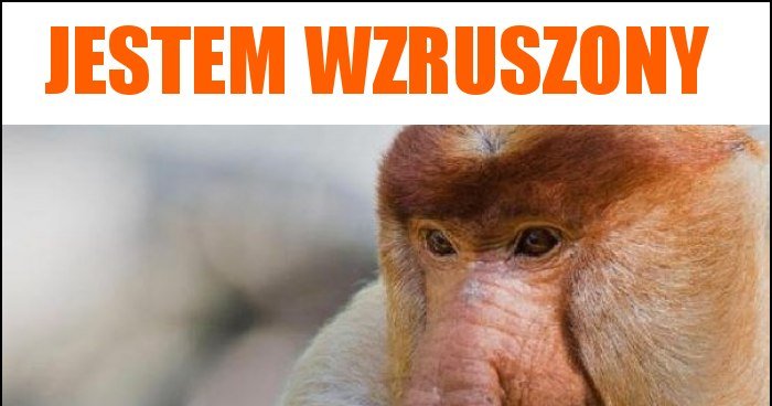 Jestem Wzruszony memy, gify i śmieszne obrazki facebook, tapety ...
