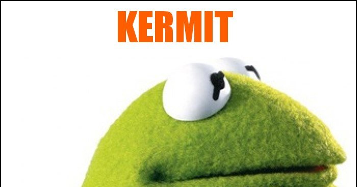 Kermit memy, gify i śmieszne obrazki facebook, tapety, demotywatory zdjęcia