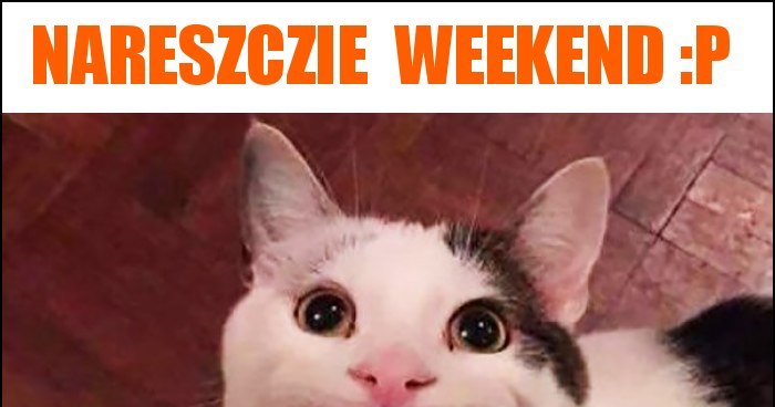 Nareszczie Weekend :P memy, gify i śmieszne obrazki facebook, tapety ...