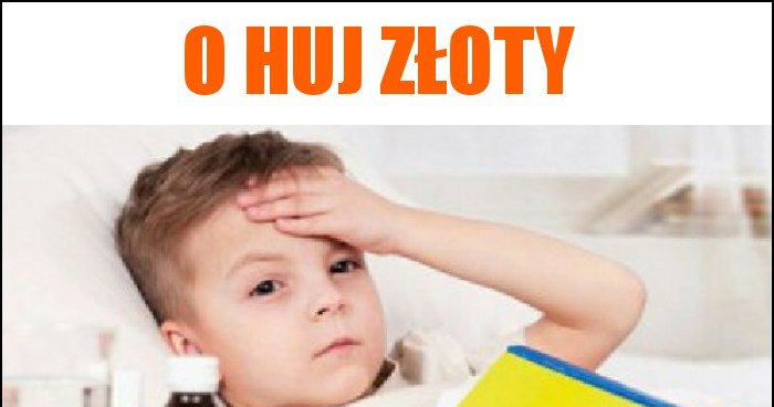 O huj złoty memy, gify i śmieszne obrazki facebook, tapety ...