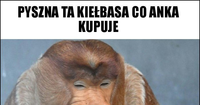 Pyszna ta kiełbasa co Anka kupuje memy, gify i śmieszne obrazki ...