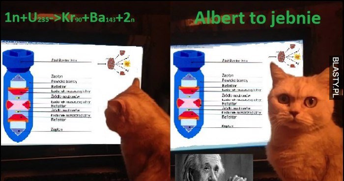 To jebnie memy, gify i śmieszne obrazki facebook, tapety, demotywatory ...