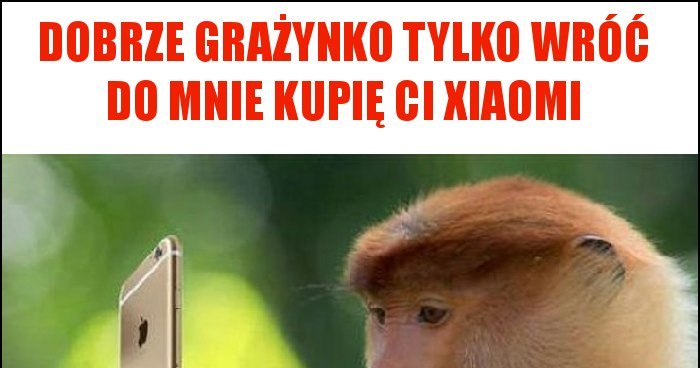 Dobrze Grażynko tylko wróć do mnie kupię ci Xiaomi memy, gify i ...