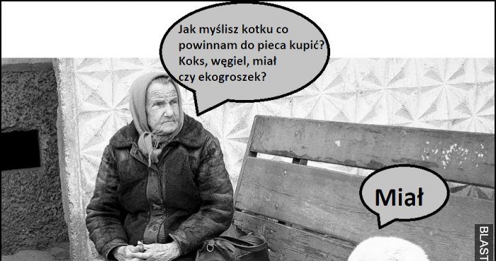 Koks, miał memy, gify i śmieszne obrazki facebook, tapety, demotywatory ...
