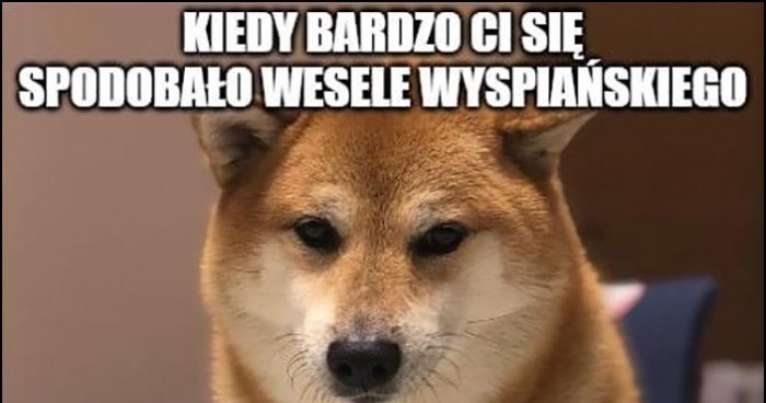 Pieseł pies kiedy bardzo Ci się spodobało wesele Wyspiańskiego i na ...