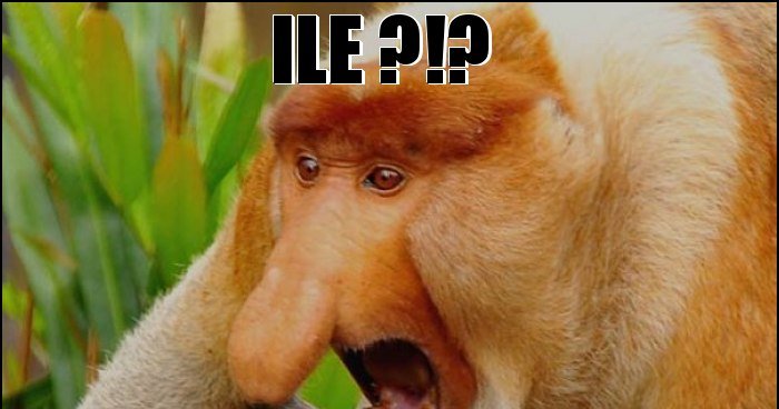 ILE ?!? memy, gify i śmieszne obrazki facebook, tapety, demotywatory ...