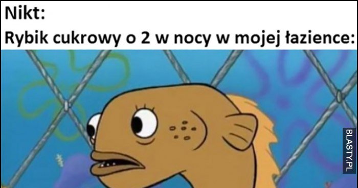 Rybik cukrowy o 2 w nocy w mojej łazience: no kurna, wchodzi jak do ...