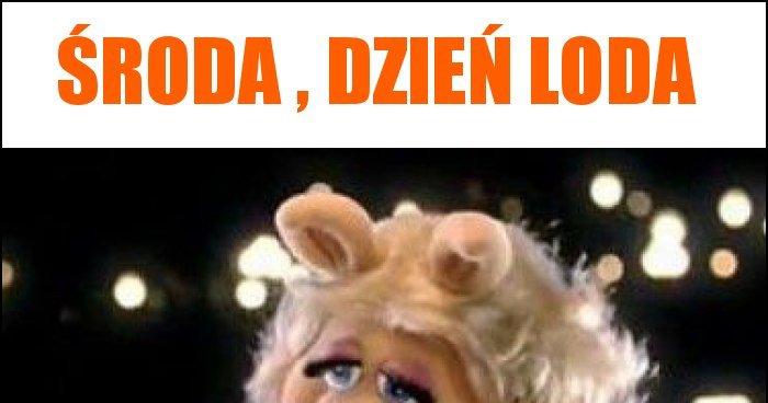 Środa , dzień loda memy, gify i śmieszne obrazki facebook, tapety ...