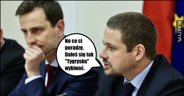 Trzaskowski z Kosiniakiem-Kamyszem vel. Tygryskiem memy, gify i ...