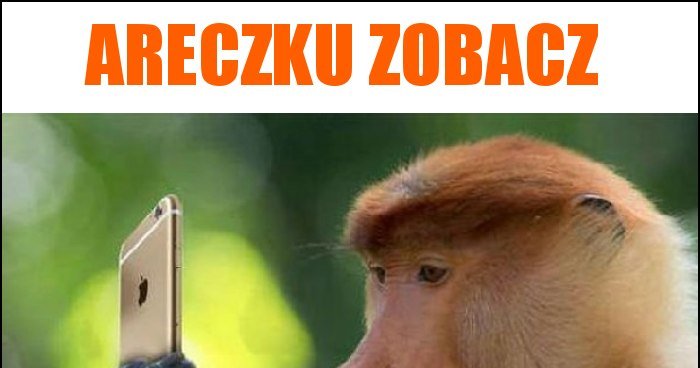 ARECZKU ZOBACZ memy, gify i śmieszne obrazki facebook, tapety ...
