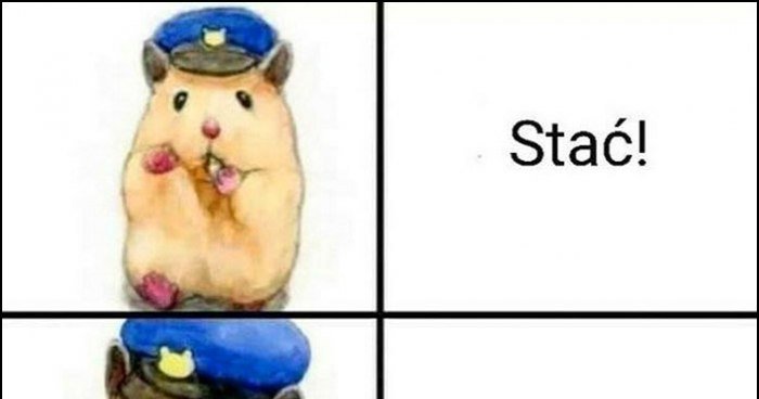 Chomik stać, popełniliście poważne wykroczenie, śmiejecie się z memów ...