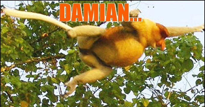 DAMIAN... memy, gify i śmieszne obrazki facebook, tapety, demotywatory ...