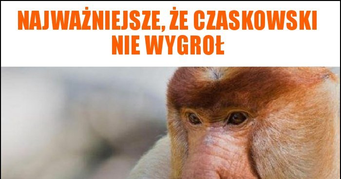 Najważniejsze, że czaskowski nie wygroł memy, gify i śmieszne obrazki facebook, tapety ...