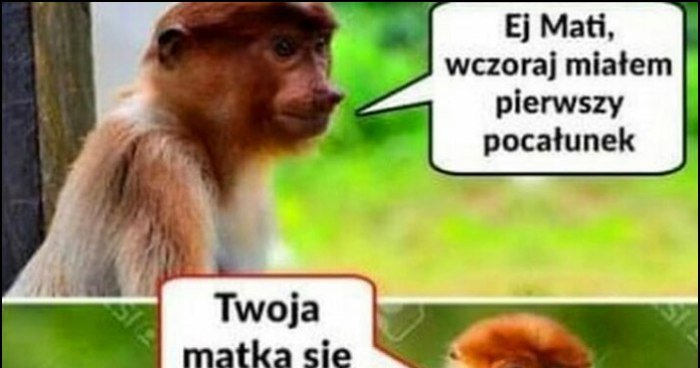 Ej Mati, wczoraj miałem pierwszy pocałunek, twoja matka się nie liczy ...