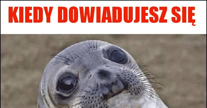Kiedy dowiadujesz się memy, gify i śmieszne obrazki facebook, tapety ...
