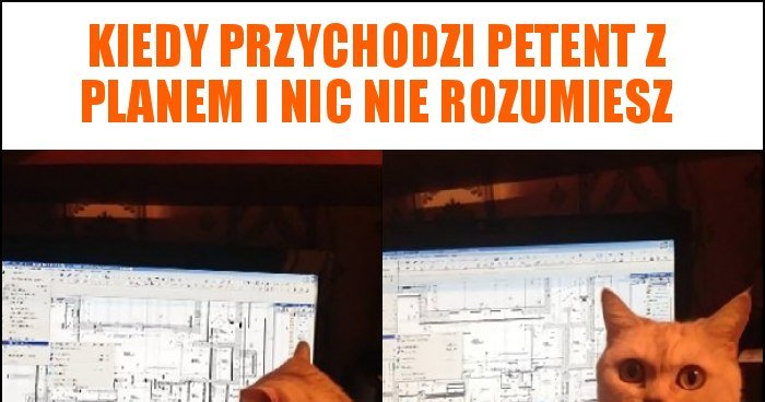 Kiedy przychodzi petent z planem i nic nie rozumiesz memy, gify i ...