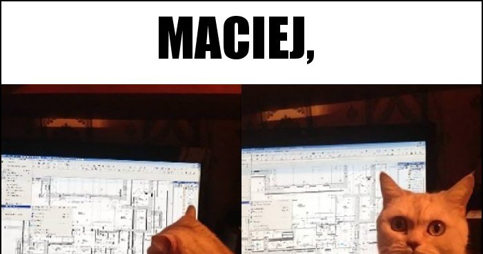 MACIEJ, memy, gify i śmieszne obrazki facebook, tapety, demotywatory ...