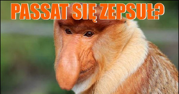 passat się zepsuł? memy, gify i śmieszne obrazki facebook, tapety ...