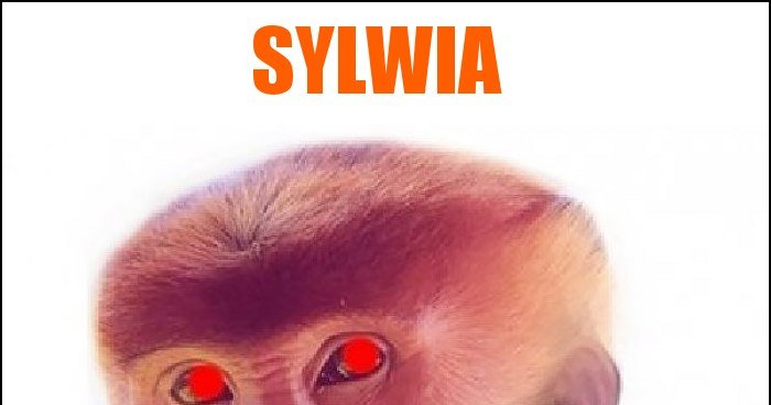 Sylwia memy, gify i śmieszne obrazki facebook, tapety, demotywatory zdjęcia