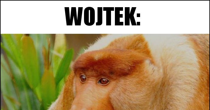 wojtek: memy, gify i śmieszne obrazki facebook, tapety, demotywatory ...