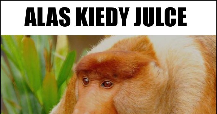 Alas kiedy Julce memy, gify i śmieszne obrazki facebook, tapety ...