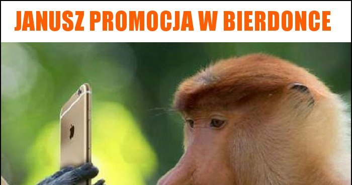 Janusz promocja w bierdonce memy, gify i śmieszne obrazki facebook ...