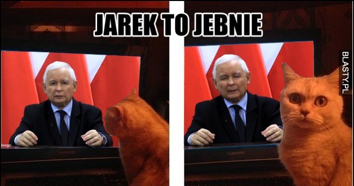 Jarek to jebnie memy, gify i śmieszne obrazki facebook, tapety ...