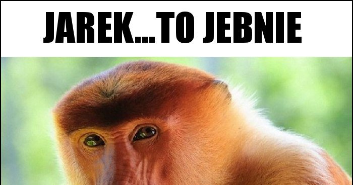 Jarek...To jebnie memy, gify i śmieszne obrazki facebook, tapety ...