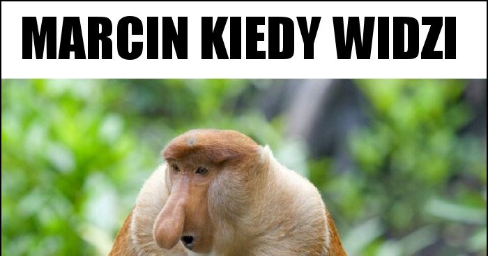 Marcin kiedy widzi memy, gify i śmieszne obrazki facebook, tapety ...