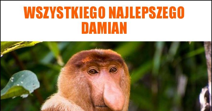 Wszystkiego najlepszego Damian memy, gify i śmieszne obrazki facebook ...