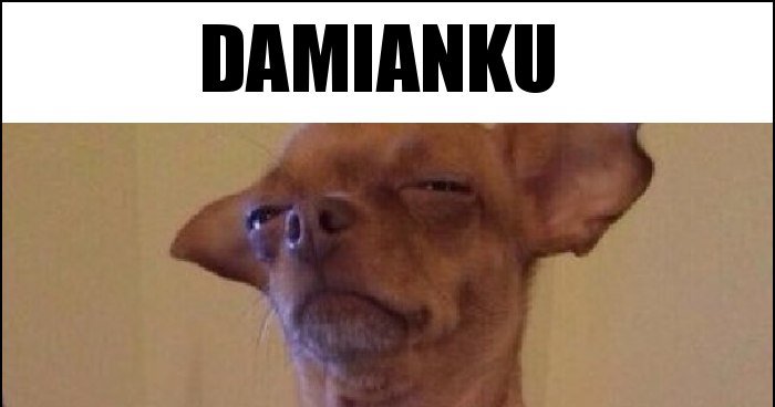 Damianku memy, gify i śmieszne obrazki facebook, tapety, demotywatory ...