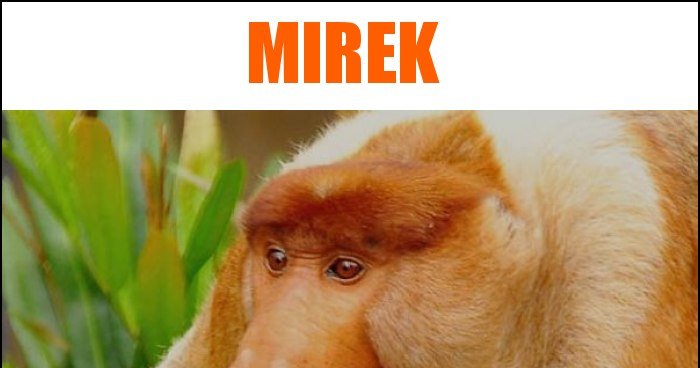 MIREK memy, gify i śmieszne obrazki facebook, tapety, demotywatory zdjęcia