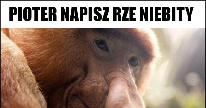 Pioter napisz rze niebity memy, gify i śmieszne obrazki facebook ...