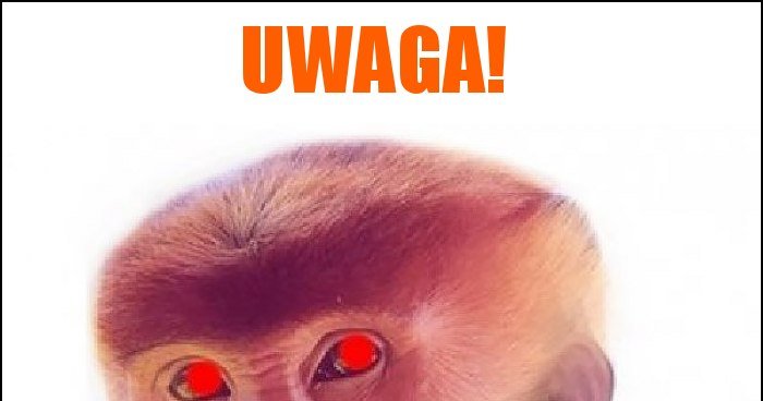 Uwaga! memy, gify i śmieszne obrazki facebook, tapety, demotywatory zdjęcia