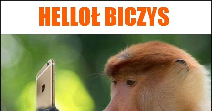 HElloł biczys memy, gify i śmieszne obrazki facebook, tapety ...
