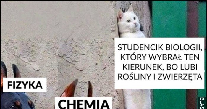 Studencik biologii, który wybrał ten kierunek bo lubi rośliny i ...
