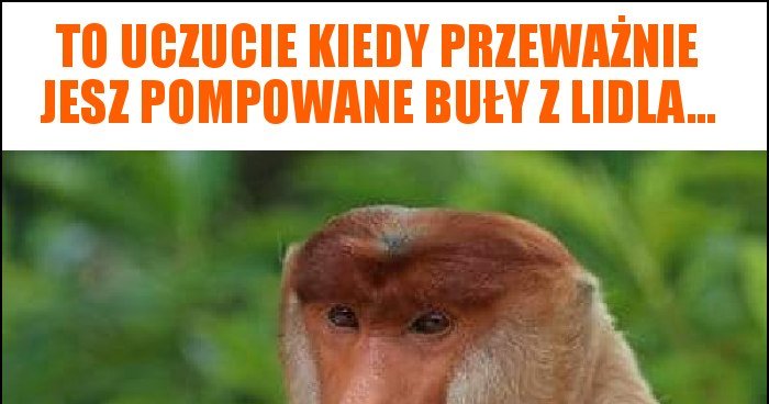 To uczucie kiedy przeważnie jesz pompowane buły z lidla... memy, gify i ...