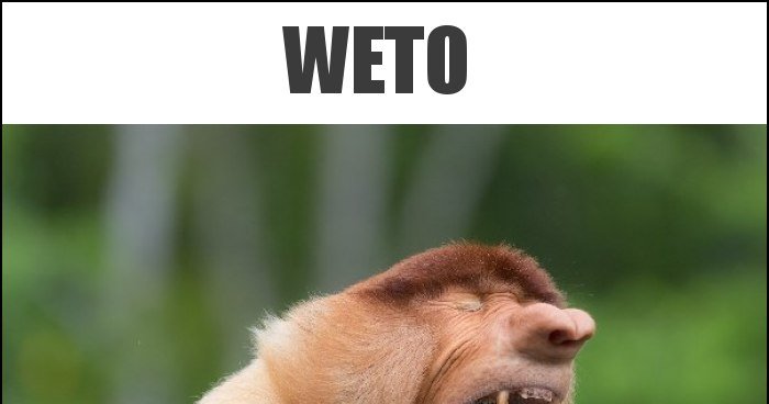 WETO memy, gify i śmieszne obrazki facebook, tapety, demotywatory zdjęcia