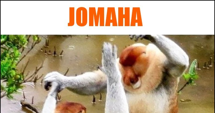 Jomaha memy, gify i śmieszne obrazki facebook, tapety, demotywatory zdjęcia