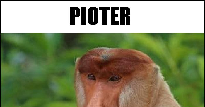 PIOTER memy, gify i śmieszne obrazki facebook, tapety, demotywatory zdjęcia