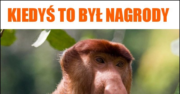 Kiedyś to był nagrody memy, gify i śmieszne obrazki facebook, tapety ...